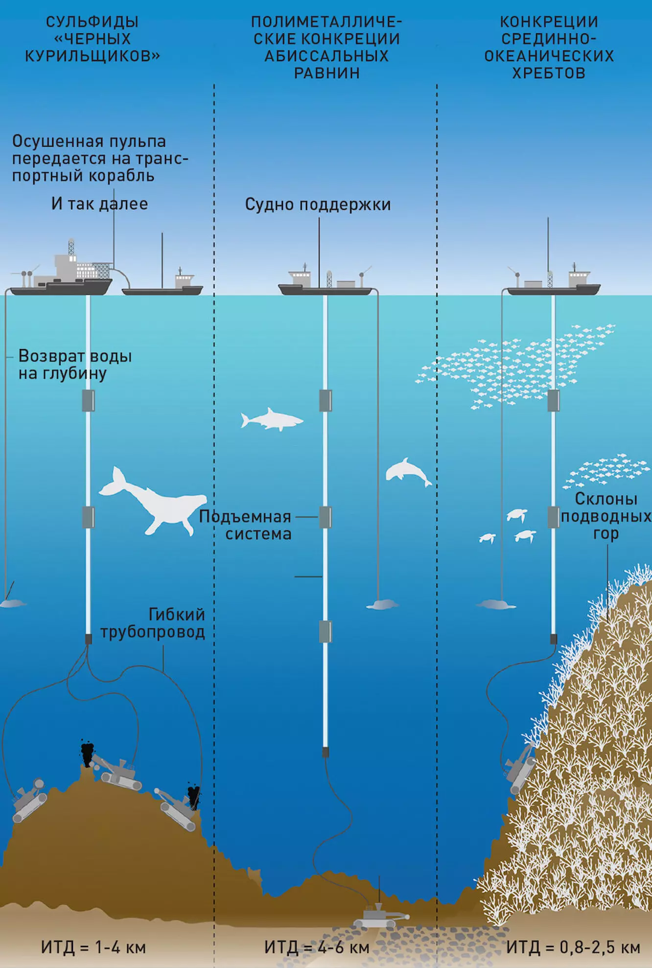 Кладенецът на морския цар 396865_6