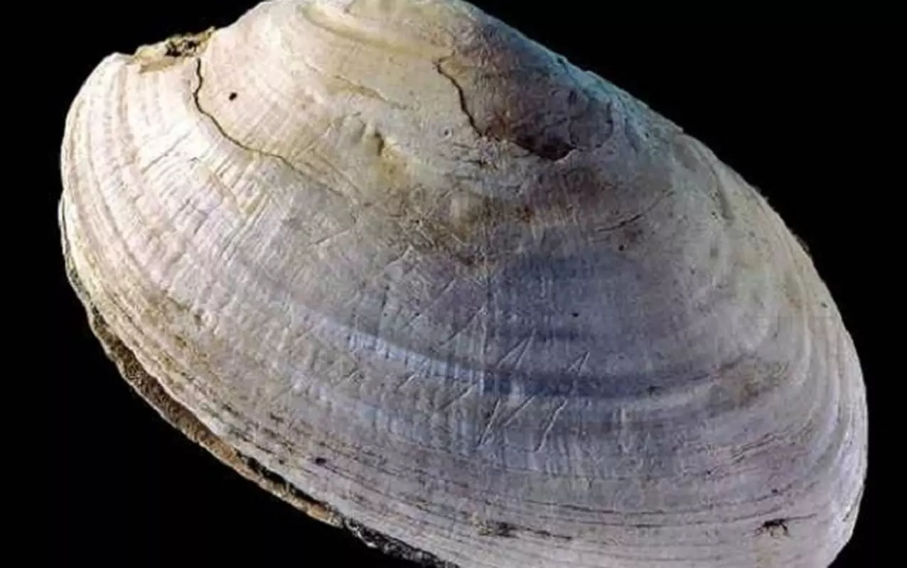 Anehnya, tetapi contoh seni abstrak tertua adalah cangkang kerang dari pulau Jawa, Indonesia. Sebuah tim ilmuwan dari Universitas Leiden di Belanda menyimpulkan bahwa cangkang itu setidaknya berusia setengah juta tahun. Tanda-tanda di permukaannya diukir dalam bentuk zig-zag, dan pemotongnya kemungkinan besar adalah gigi hiu yang ditemukan di tempat yang sama dengan temuan utama.
