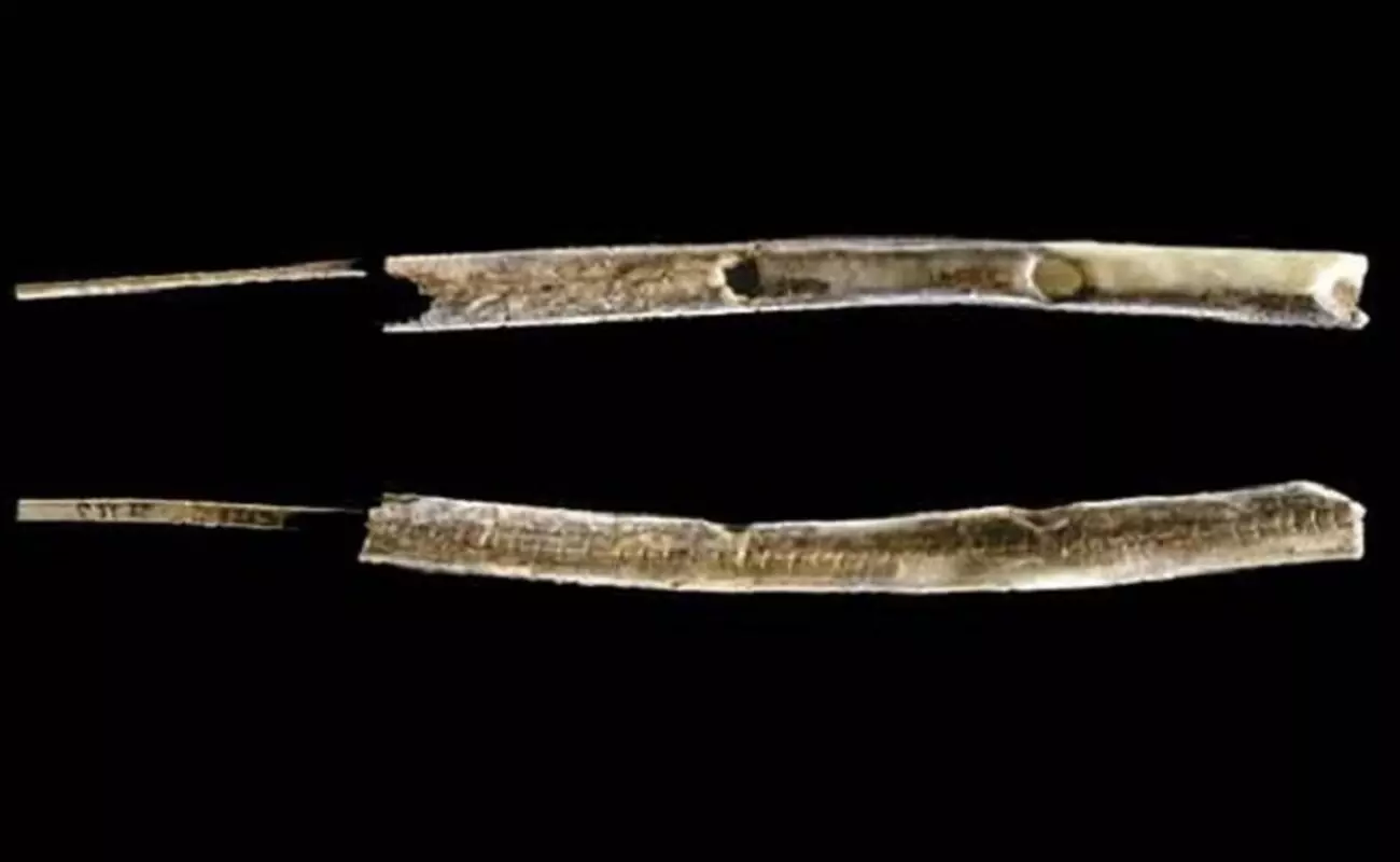 그리고 예술에 대한 몇 마디: 오늘날 가장 오래된 악기는 독일 남부의 다뉴브 강 상류에서 발견되는 뼈 피리입니다. 하나는 매머드 뼈로 만들어졌고 다른 하나는 새 뼈로 만들어졌습니다. Nick Conrad 교수는 그의 발견을 42,000~43,000년 전으로 추정합니다. 아마도 지구 냉각이 시작되기 직전에 사람들이이 지역에 와서 이곳은 레크리에이션 및 사회 커뮤니케이션의 거점으로 사용되었을 것입니다.