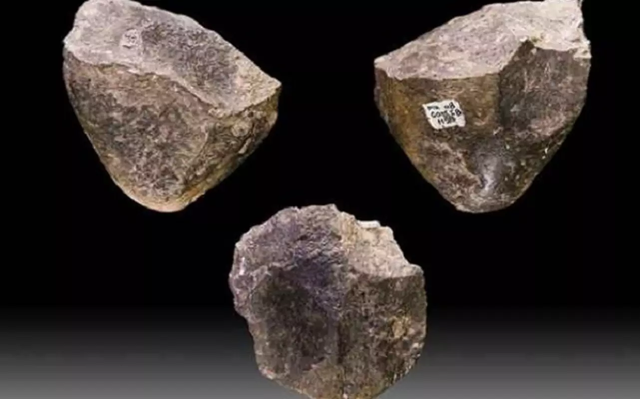 Các công cụ cổ nhất từng được tìm thấy được phát hiện ở Gon, Ethiopia. Các nhà khảo cổ ước tính tuổi của chúng vào khoảng 2,5 - 2,6 triệu năm. Điều này khiến chúng không chỉ là nhạc cụ cổ nhất thế giới mà còn là đồ tạo tác lâu đời nhất cho đến nay. Những người cạo da tương tự đã được tìm thấy ở các khu vực khác của châu Phi và được ước tính là từ 2,3 đến 2,4 triệu năm tuổi.