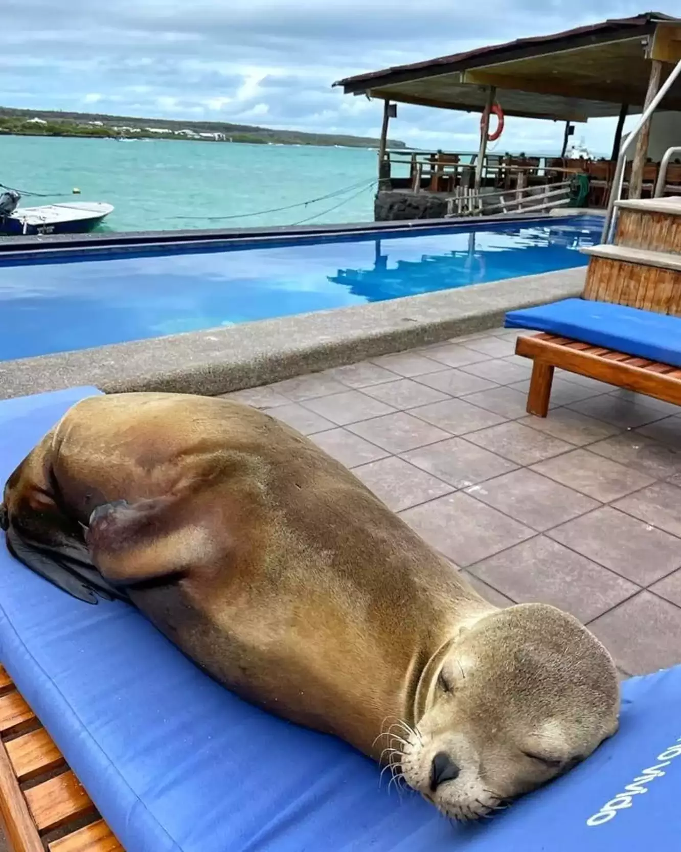 Wendy pihen egy nehéz nap után az óceánban