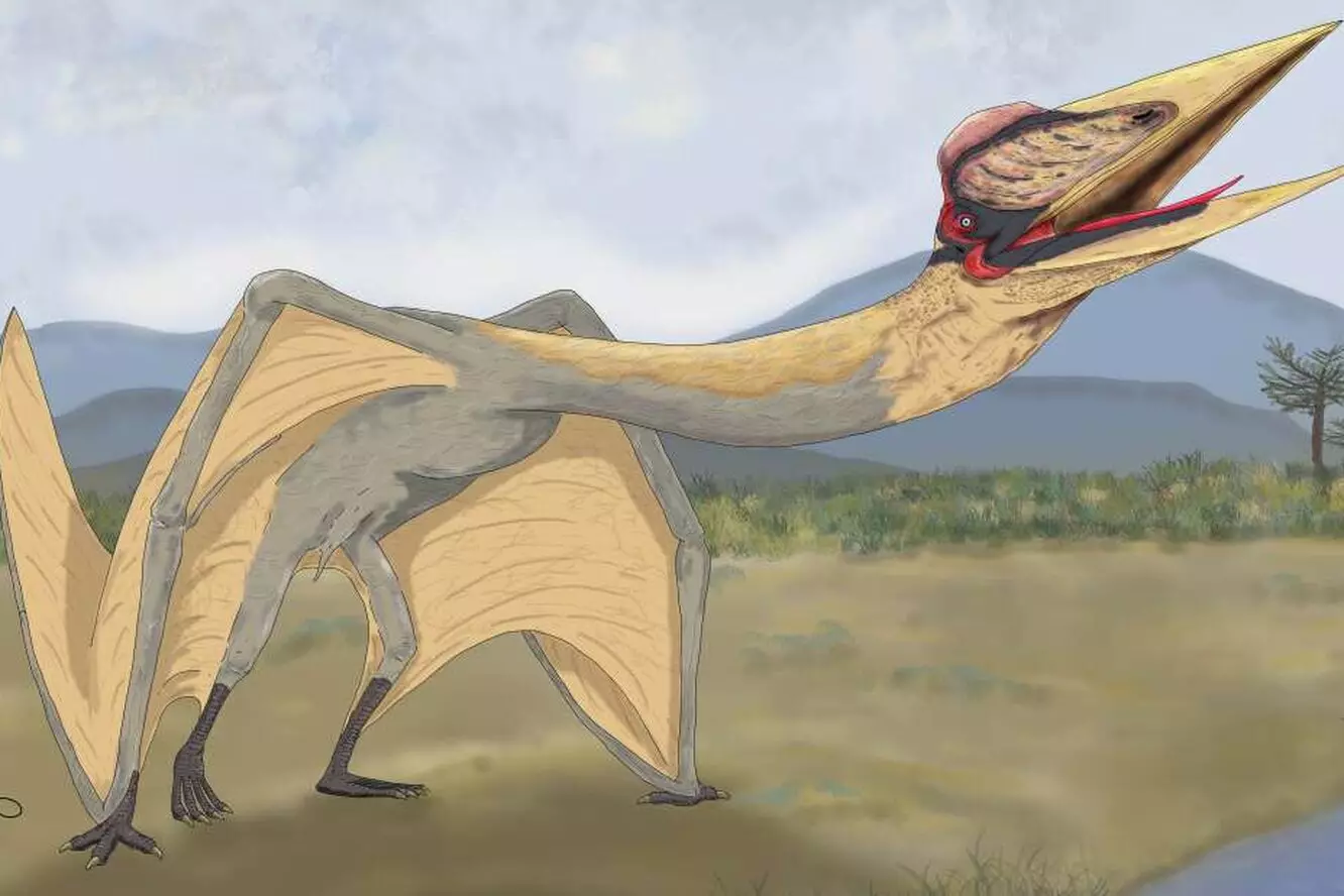 Tany Arzantina, nahita ny sisa tavela tamin'ny "Dragon of Death" goavam-be iray - pterosaur misy elatra 9 metatra.