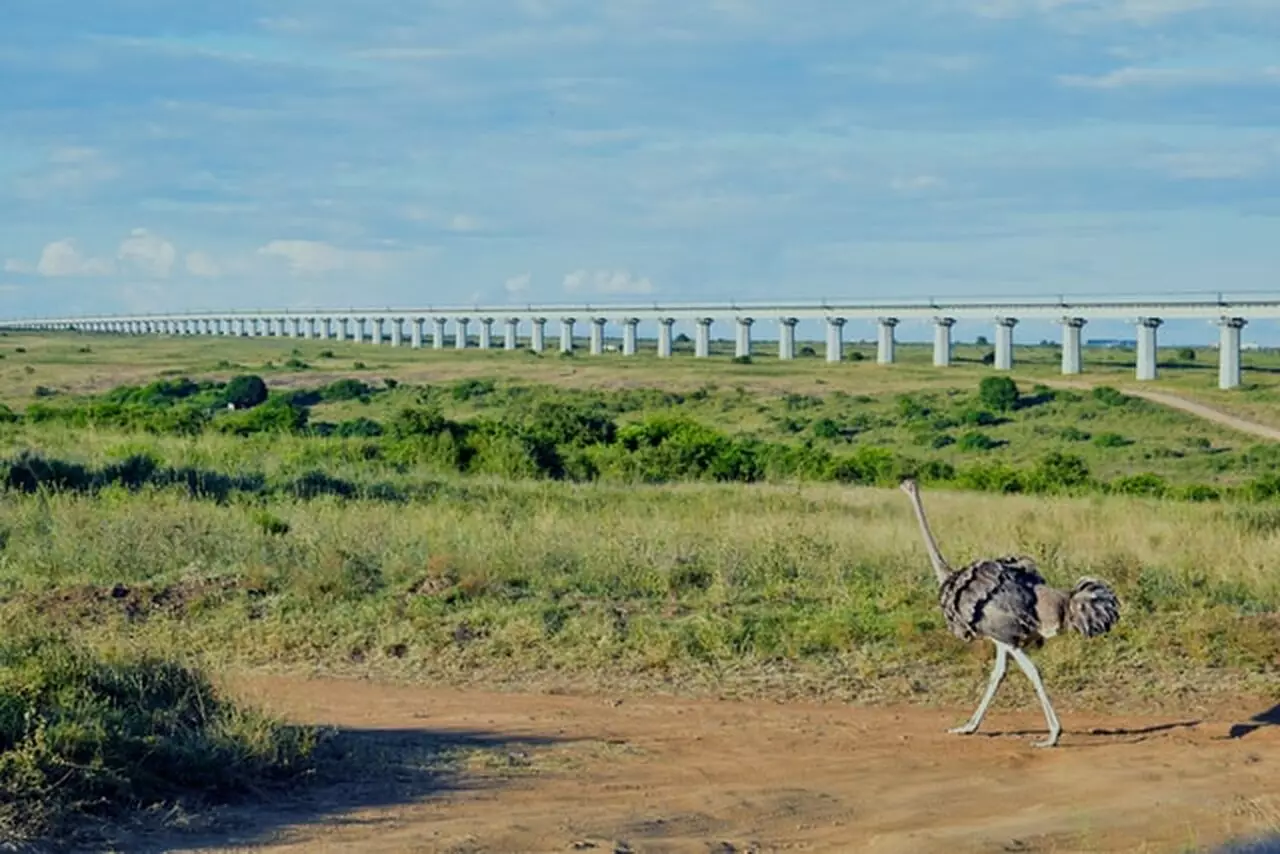 5 Chokwadi Nezvemhou: Kwavaimbogara, Mashandisiro Avanoita Mapapiro Avo, Kumhanya Kwepamusoro Uye Zvimwe 400636_4