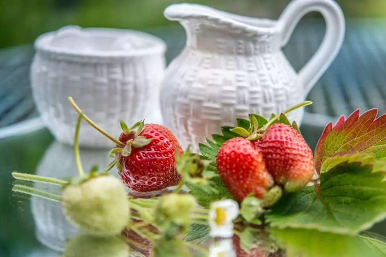 Mangiali subito: frutta e bacche di stagione da includere nella tua dieta estiva per ottenere una carica vitaminica