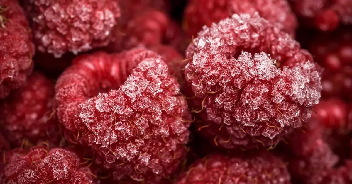 如何在家冷凍漿果：5 個簡單的技巧