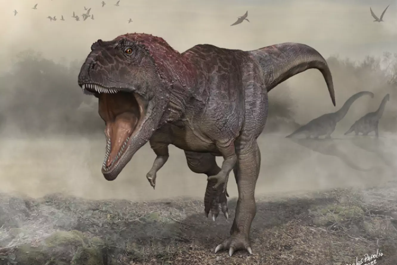 Baraya jauh ti Tyrannosaurus rex kapanggih: éta ogé boga suku hareup leutik