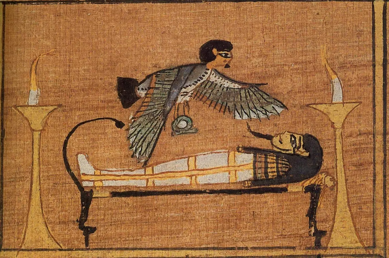 Wittenskipper mummifisearret mûzen neffens âlde Egyptyske resepten 401301_1
