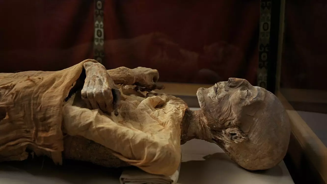 Wittenskipper mummifisearret mûzen neffens âlde Egyptyske resepten 401301_2