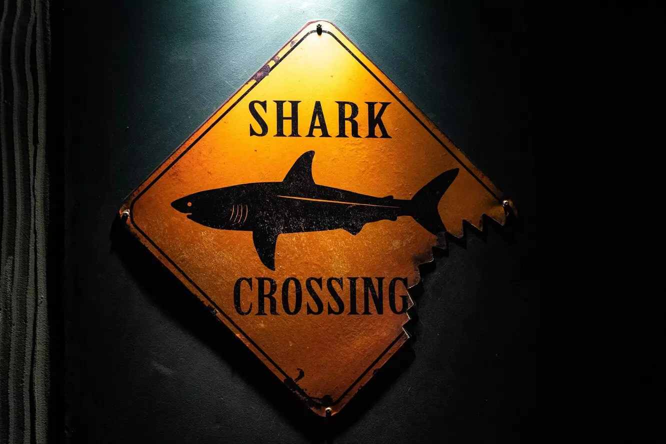 7 vietas uz planētas, kur haizivs ir reālas briesmas