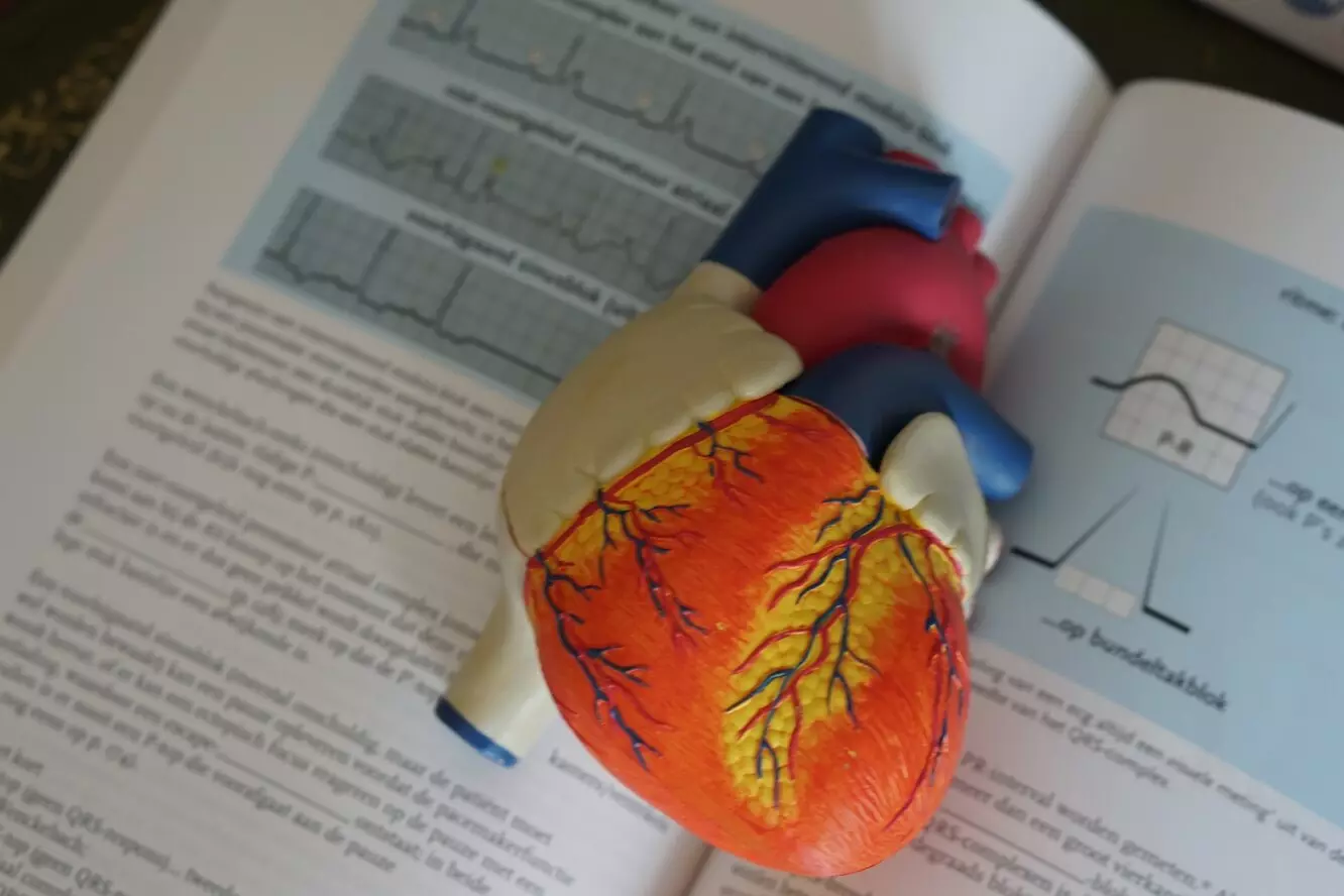 Koja je razlika između moždanog i srčanog udara