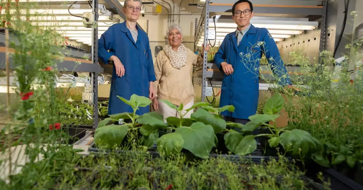 Kwas salicylowy może pomóc chronić rośliny przed globalną suszą