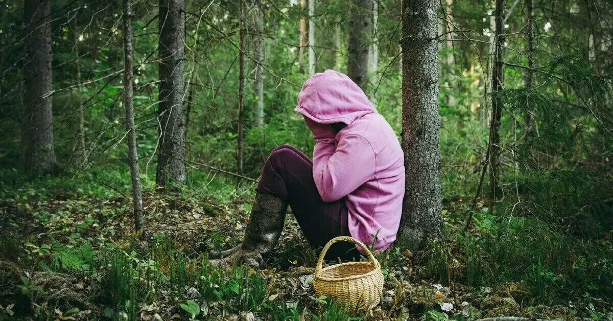 Правілы выжывання ў лесе: як быць, калі заблудзіўся?