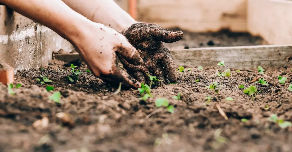 Οι επιστήμονες ανακάλυψαν ότι η κηπουρική βοηθά στην αντιμετώπιση του στρες και του άγχους