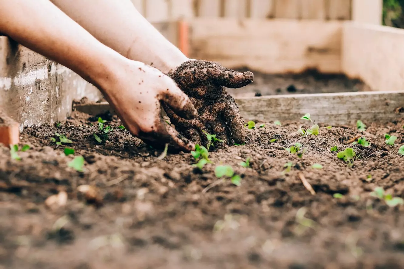 Puutarhatyöskentely maaseudulla auttaa vähentämään ahdistusta ja stressiä