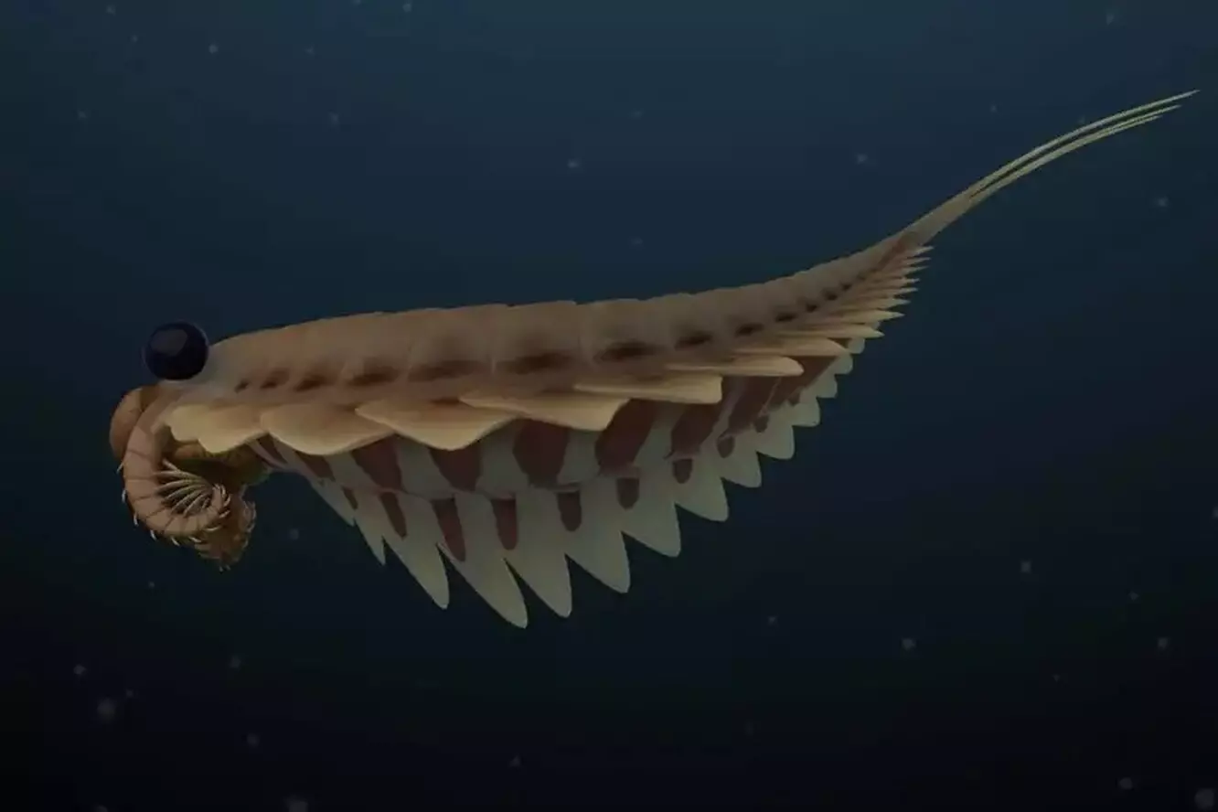 Forskere har opdaget et fantastisk treøjet rovdyr. Han levede i havene for 500 millioner år siden