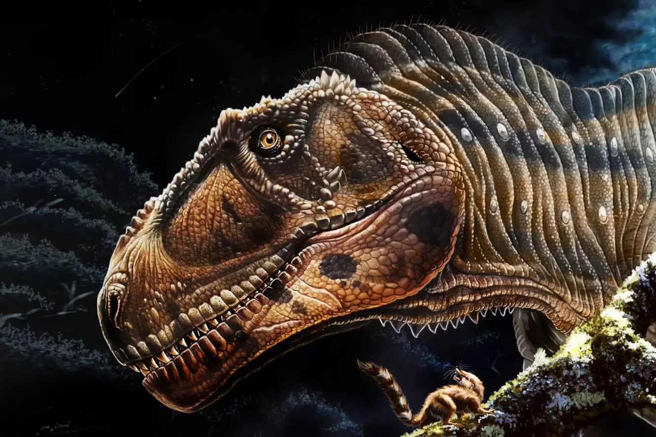 كىچىككىنە پۇتى ۋە نەچچە يۈزلىگەن قەدىمكى پاقا بىلەن Tyrannosaurus Rex نىڭ تۇغقىنى: بۈگۈن ئەڭ يېڭى خەۋەر