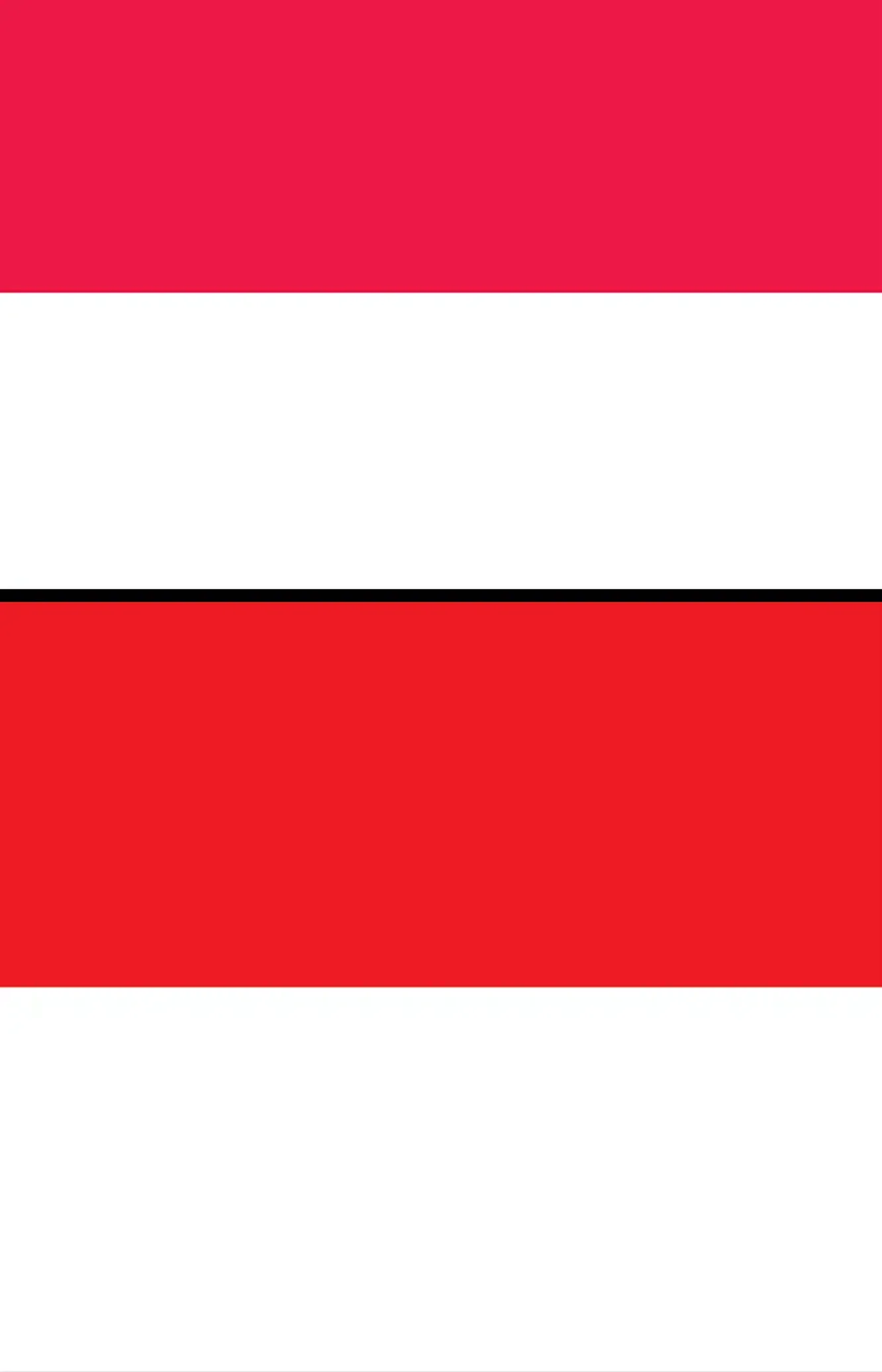 Якія нацыянальныя флагі падобныя адзін на аднаго 401439_4