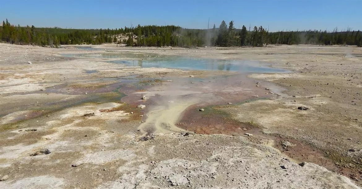 Microbio "sen pretensións" atopado en Yellowstone