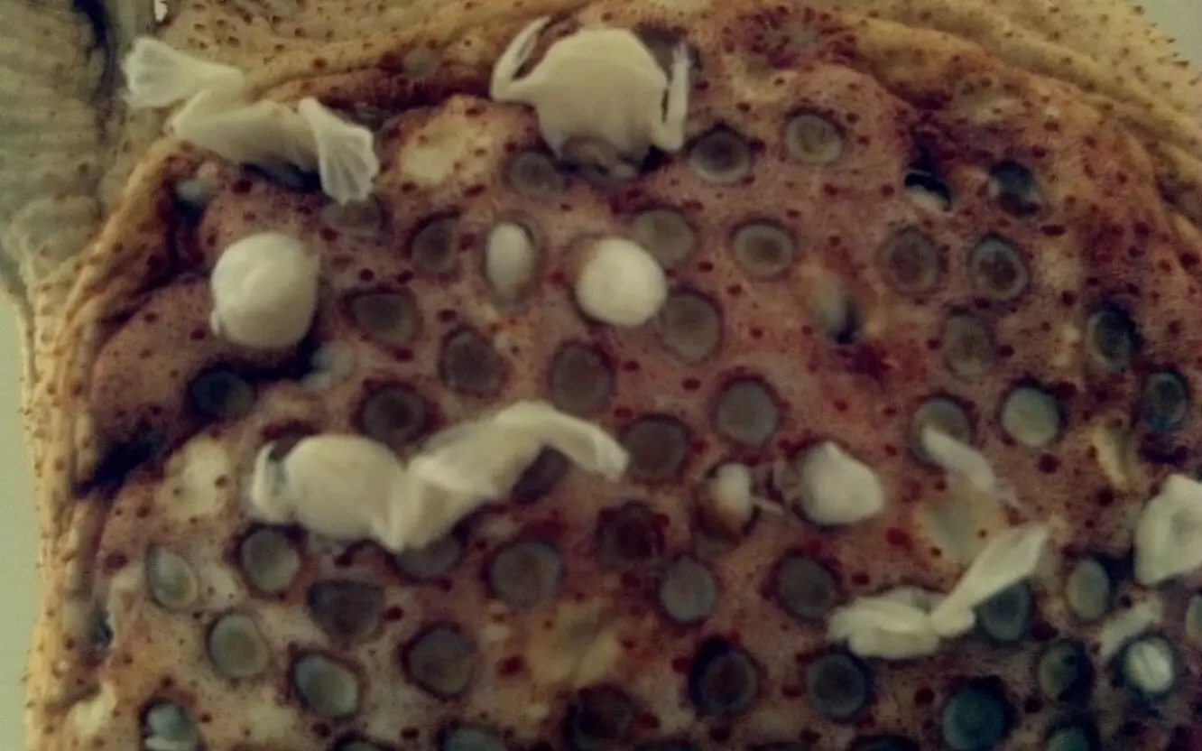 Is pictiúr neamhbháúil é seo - radharc barr ar an pipa Suranam agus. Is truicear trypophobia é créatúr cosúil le buafán a chabhraíonn le speisialtóirí caidreamh duine le ciorcail cnuasaithe a chinneadh.