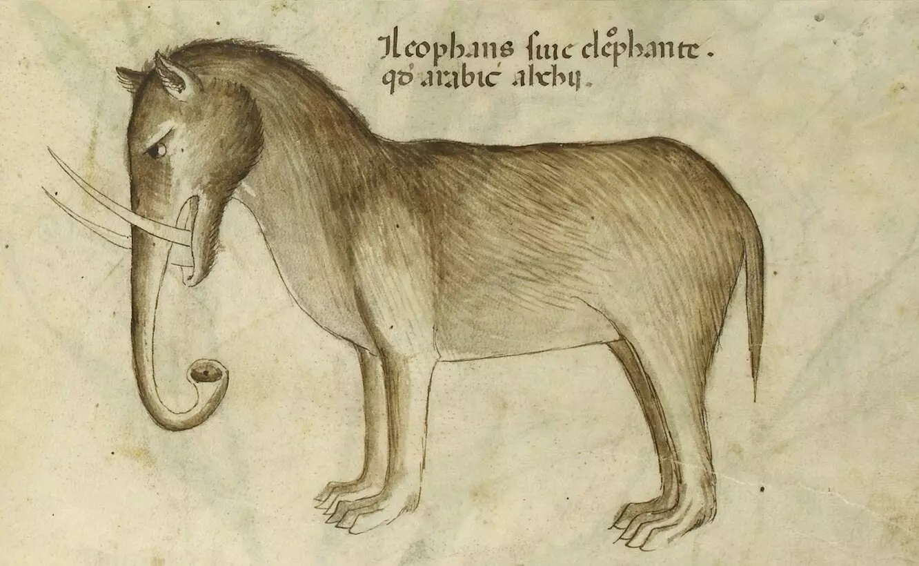 Northumberland Bestiary