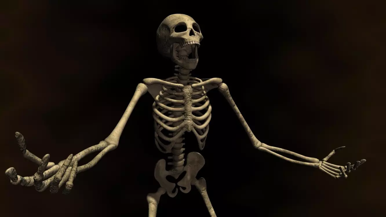 Skeleton