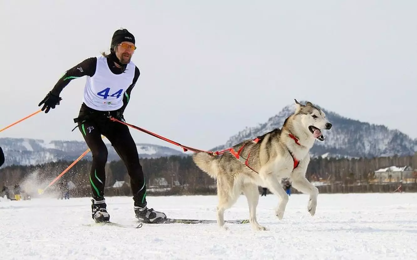 5 nejextrémnějších zimních sportů 64333_2