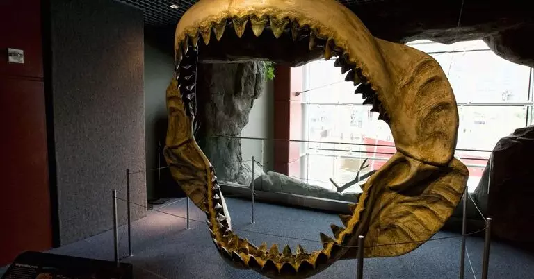 Cad a mharaigh an megalodon 2.6 milliún bliain ó shin