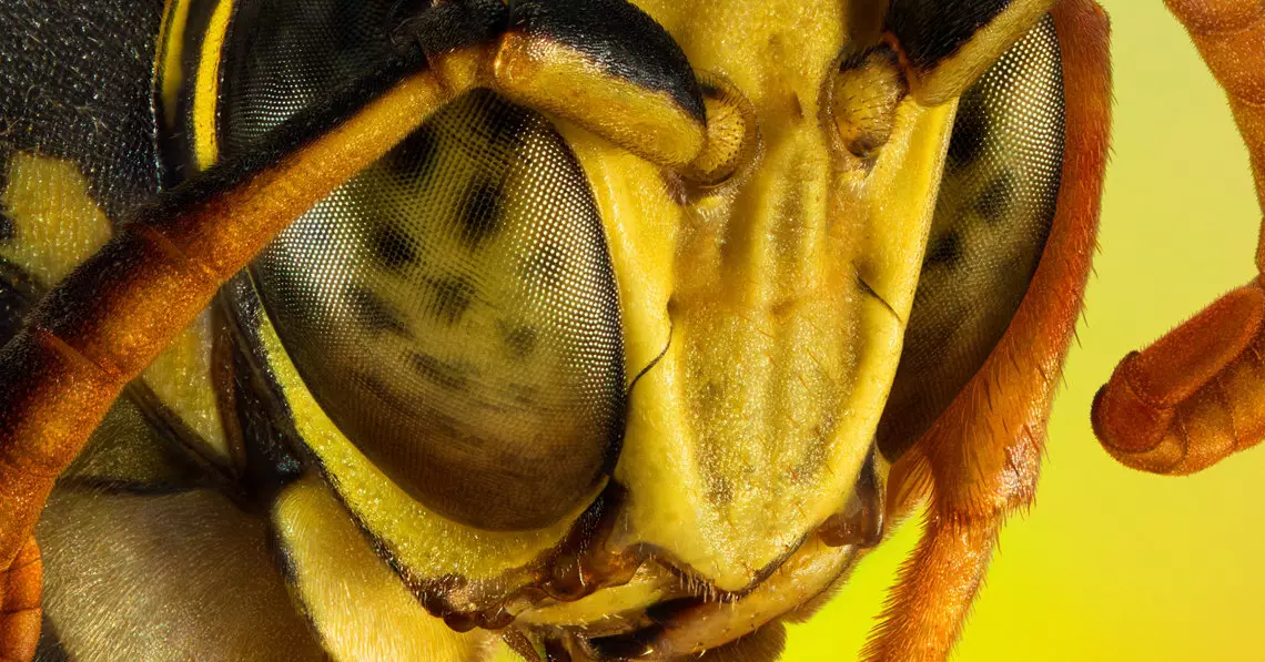 13 najbolj spektakularnih znanstvenih fotografij iz Rusije