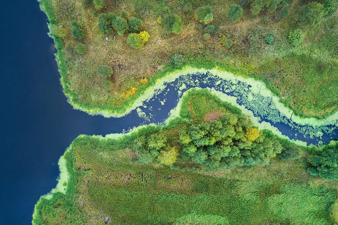 13 iespaidīgākās zinātnes fotogrāfijas no Krievijas 75891_4