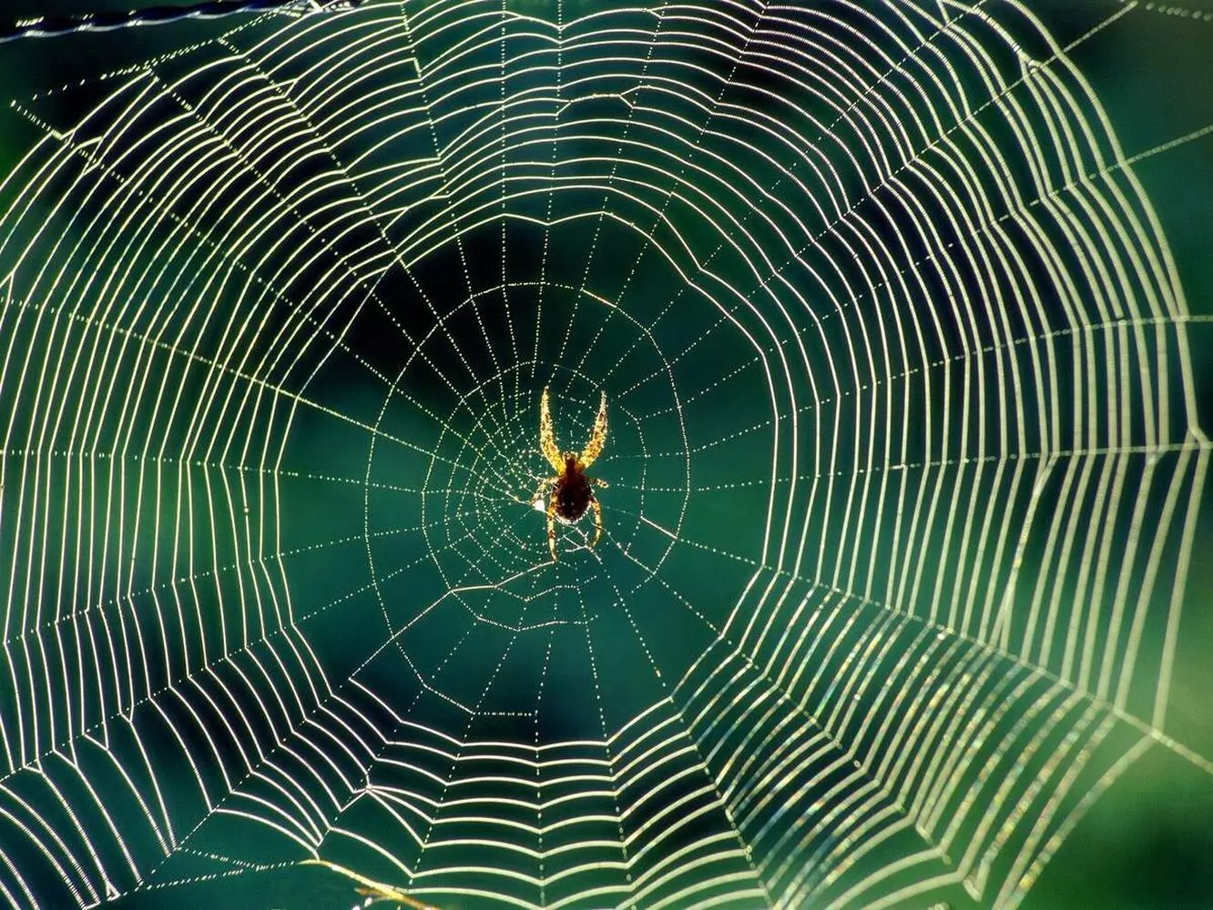 10 moderne tegnologieë waarmee die natuur self vorendag gekom het 83810_5